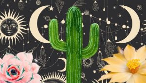 Cactus Symbolism & Spiritual Meaning - What It Means to See One